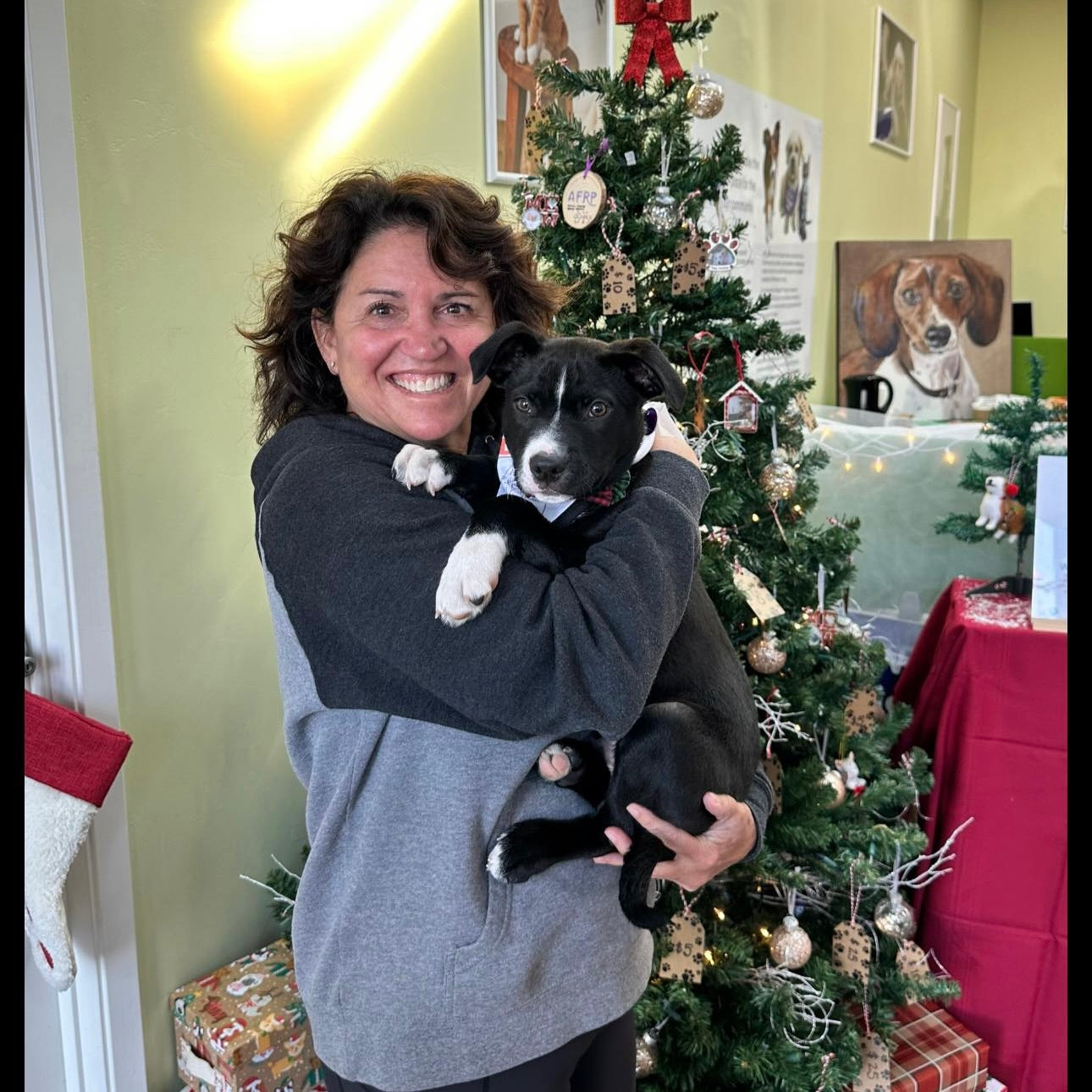 Jax's Sleigh Ride Home – Animal Friends Rescue Project