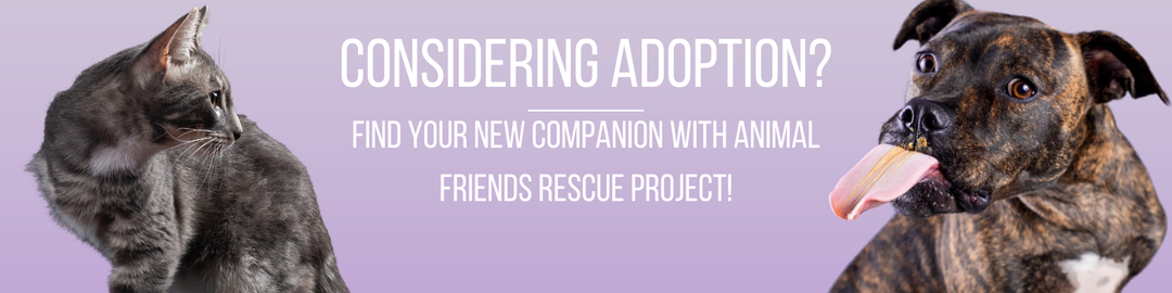 Animal Friends Rescue Project