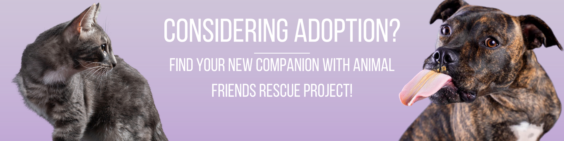 Animal Friends Rescue Project