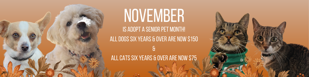 Animal Friends Rescue Project