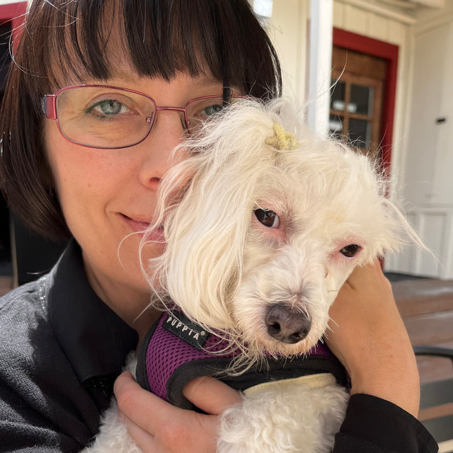 Our Team – Animal Friends Rescue Project