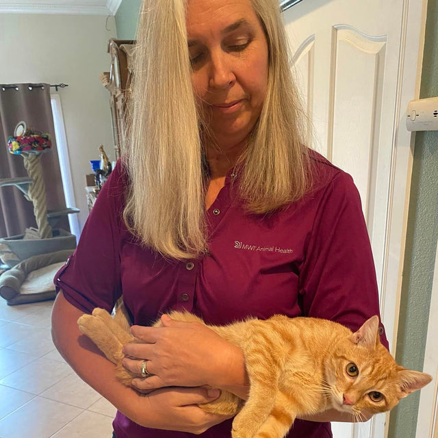 Leadership – Animal Friends Rescue Project