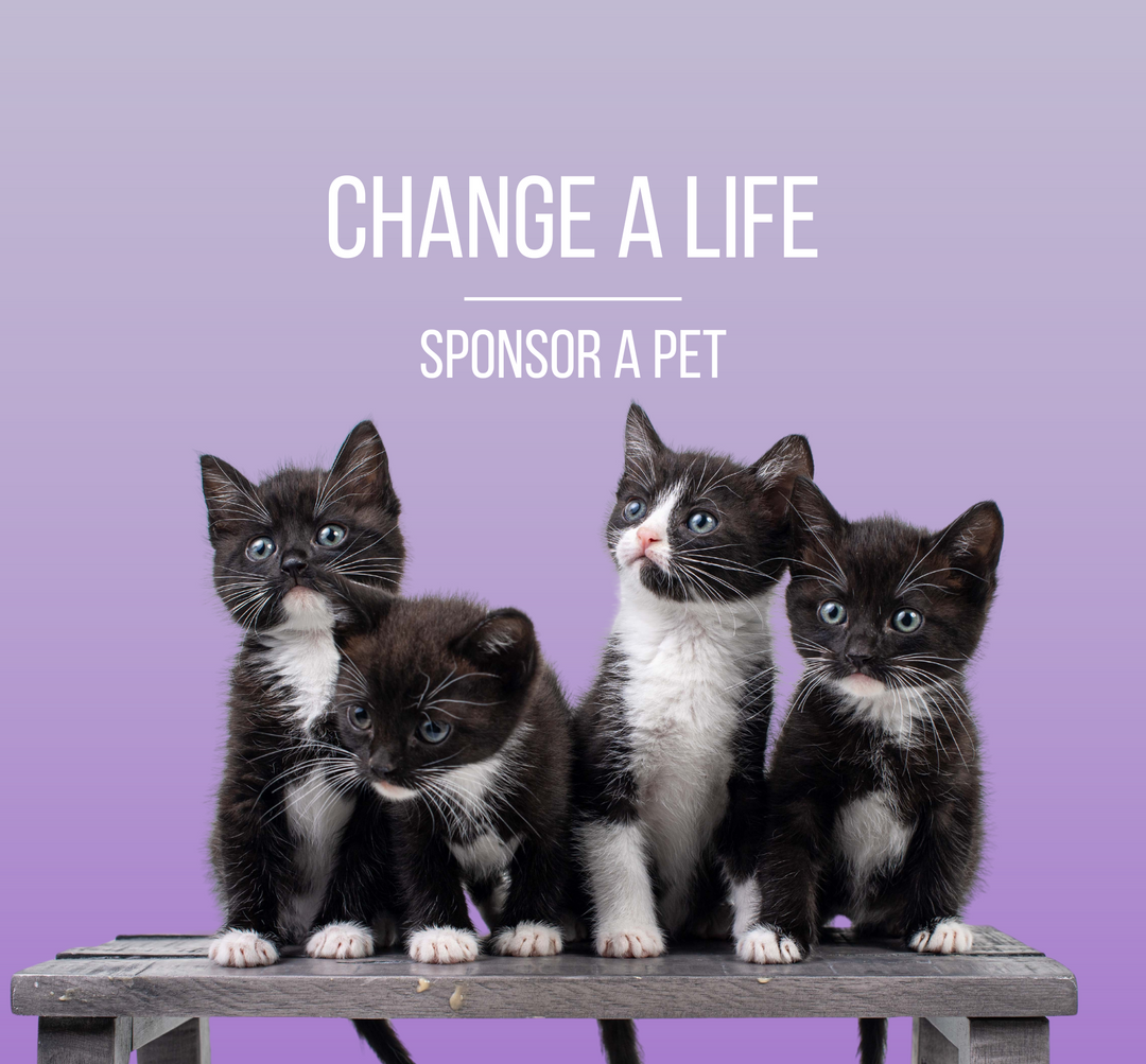 Animal Friends Rescue Project