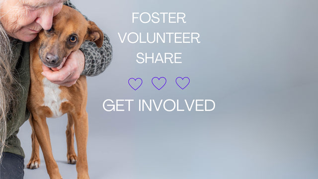 Animal Friends Rescue Project