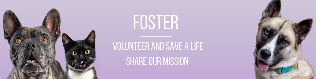 Animal Friends Rescue Project