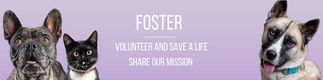 Animal Friends Rescue Project