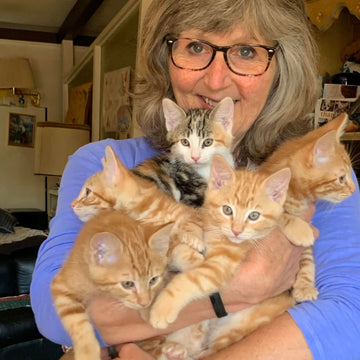 Our Team – Animal Friends Rescue Project